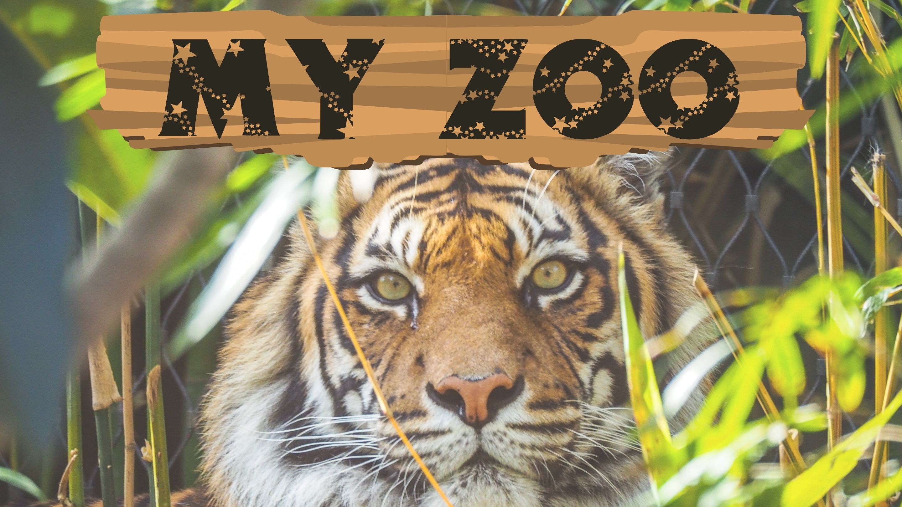 Review Materials – Make them Interactive! – Sra. K. Spanish